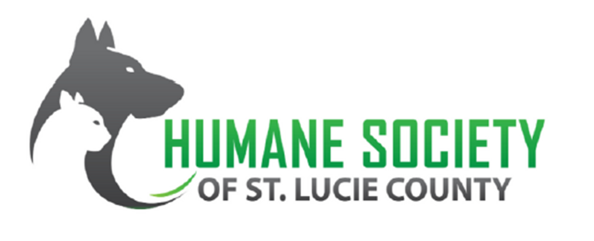 Humane Society Launches First-Ever Summer Camp | City of Port St. Lucie, FL